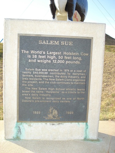 Salem Sue - The World's Largest Cow | Amusing Planet